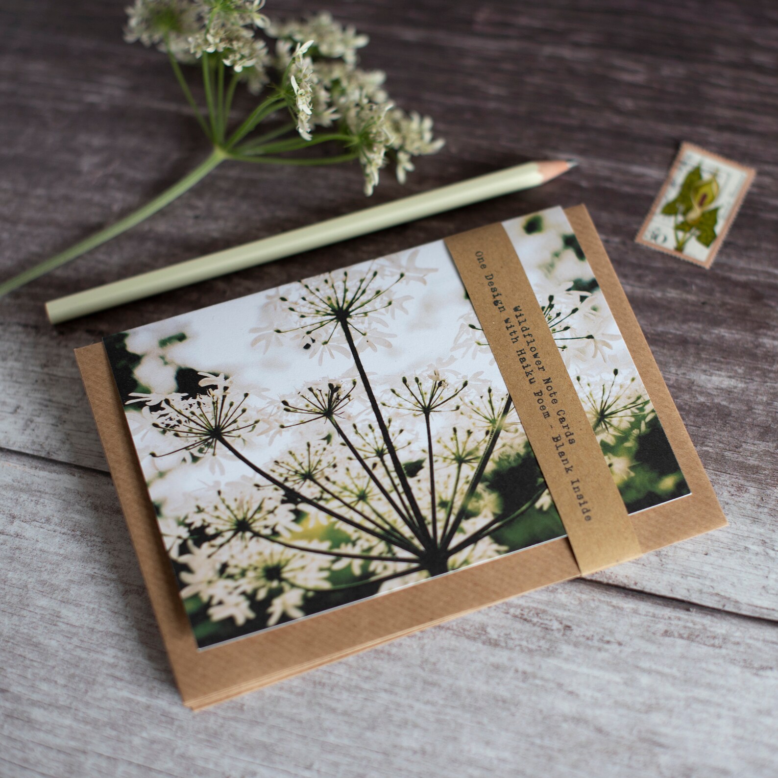 Wildflower Note Cards, Blank Inside With Nature Poem on Reverse, Eco ...
