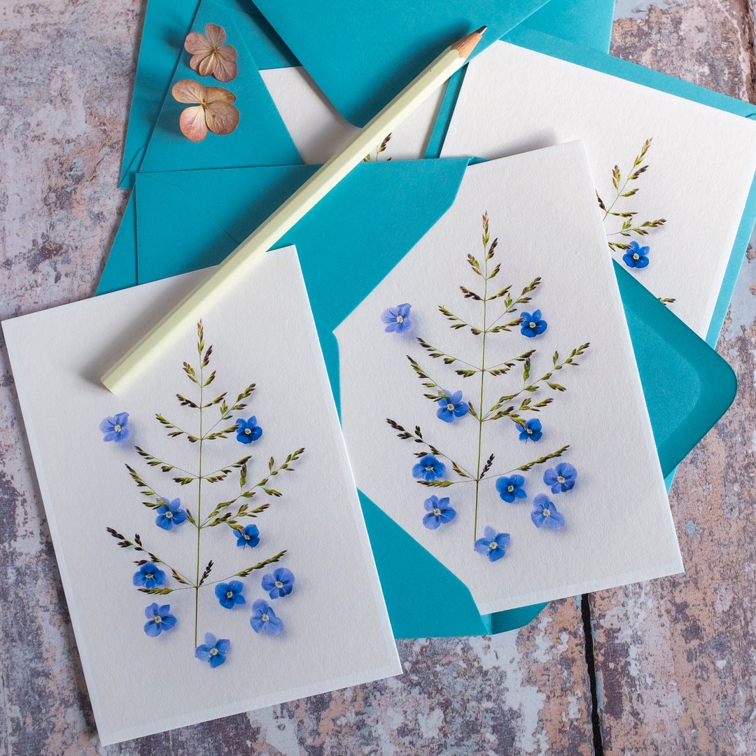 Speedwell Blue Wildflowers Notelets Set - 4 Postcard-style Notelets ...