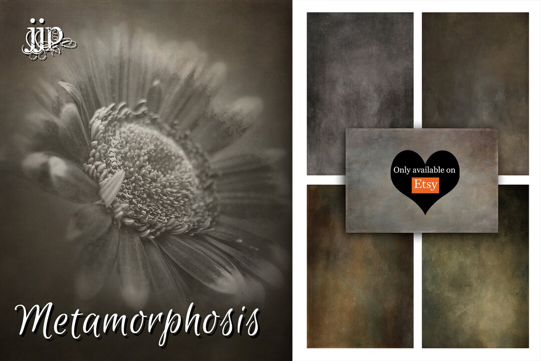JJP Metamorphosis - 5 Fine Art Painterly Photoshop Texture Overlays ...