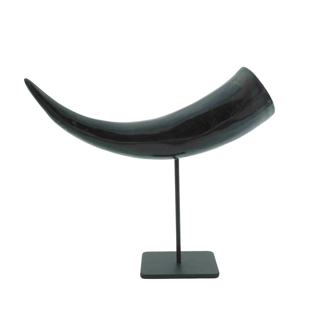 Polished Cow Horn on Base (horizontal) - Etsy
