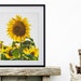 Farmhouse Decor, Wall Decor, Sunflowers, Boho, Nature Inspired, Nature ...