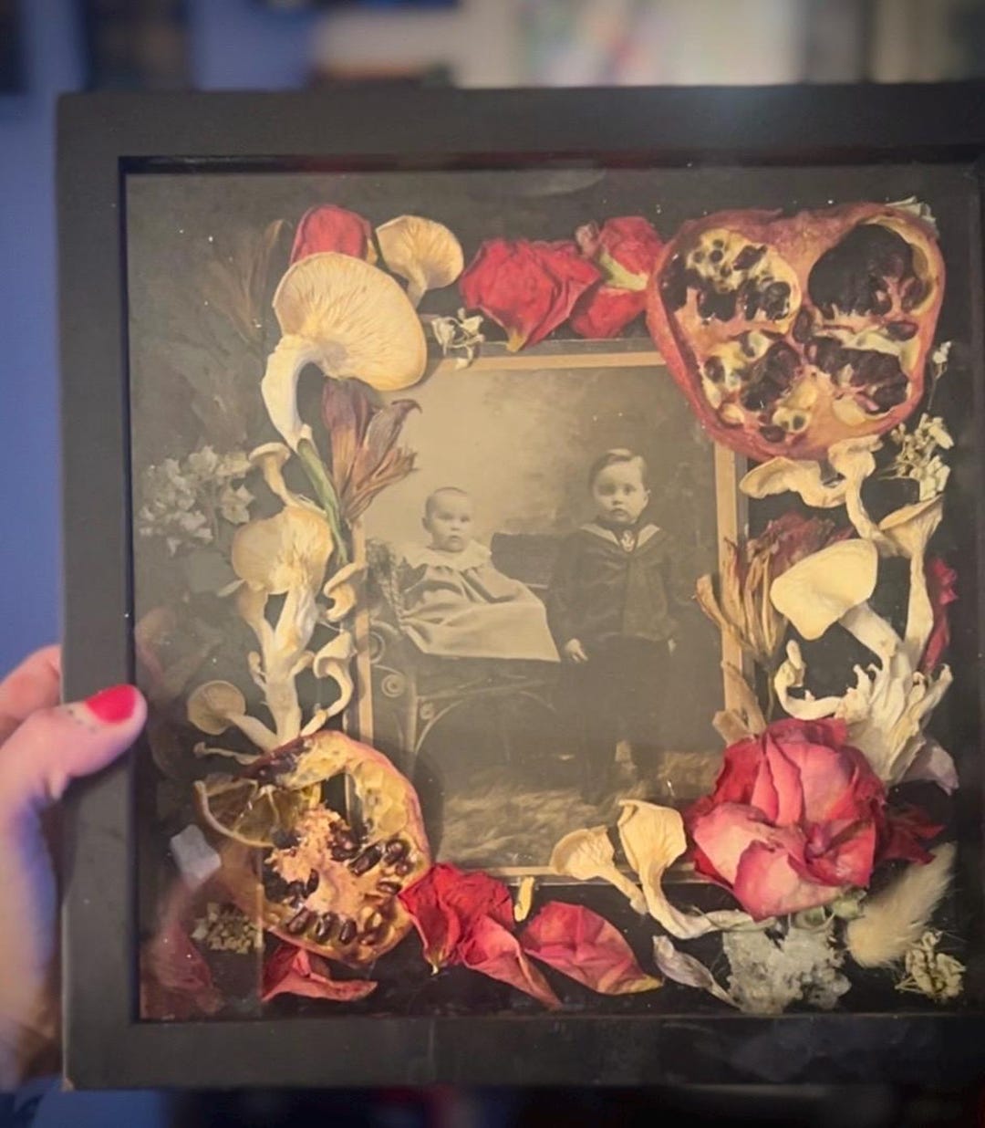 Antique Photos Rustic Shadow Box Art With Real Preserved Flowers ...