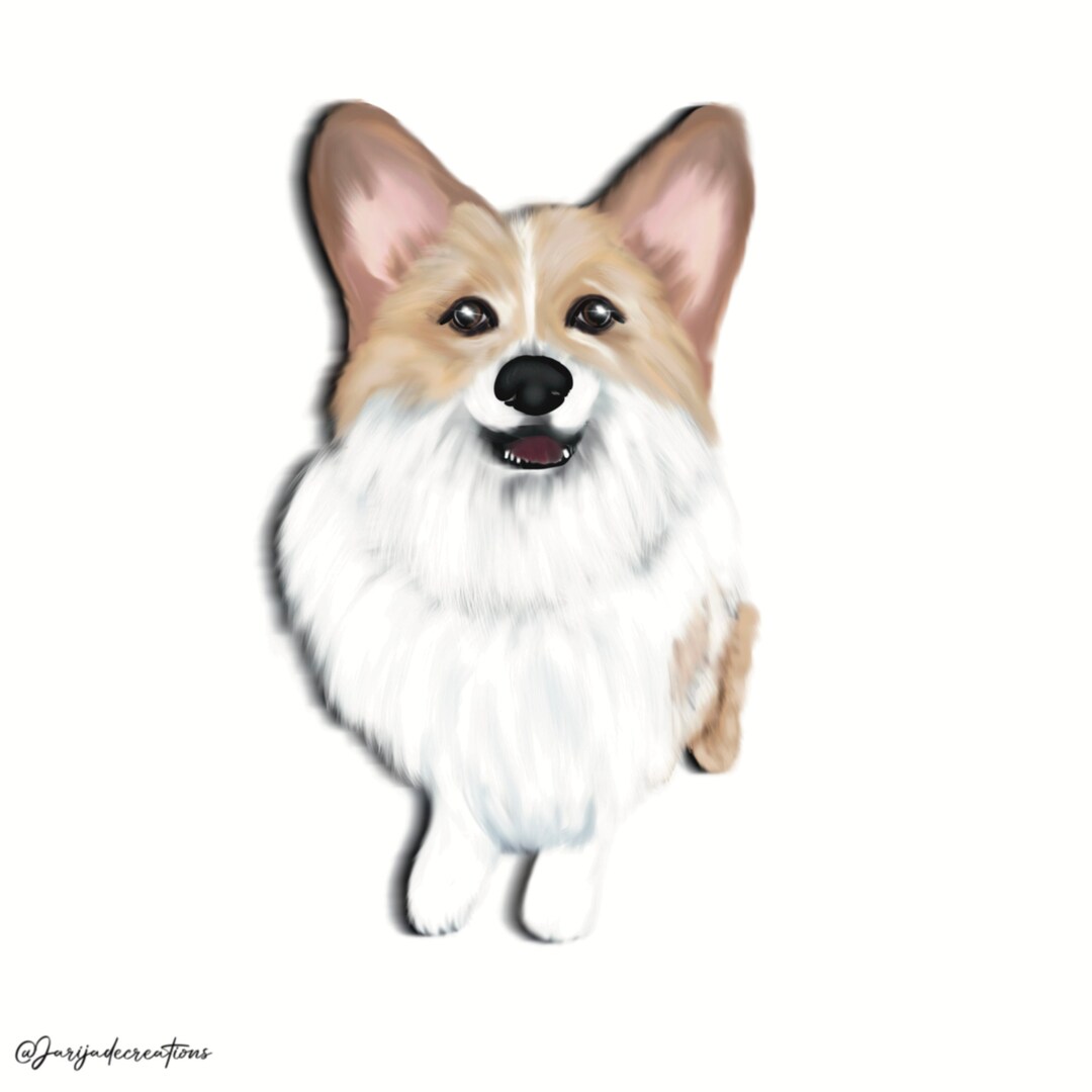 Personalized Corgi Digital Art Illustrations, Custom Last Minute Pet ...