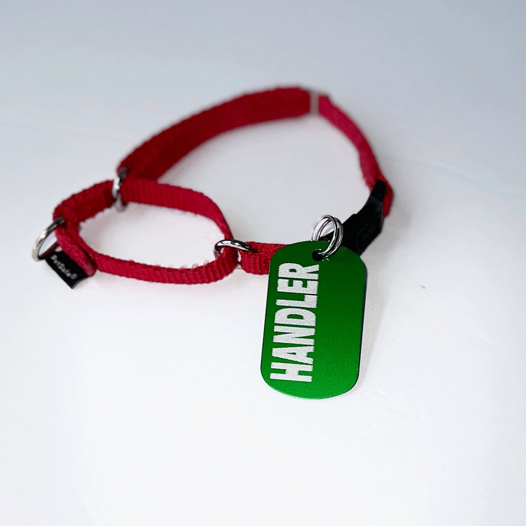 Personalized Human and Pup Tag Set Custom Pup and Handler Tag - Etsy