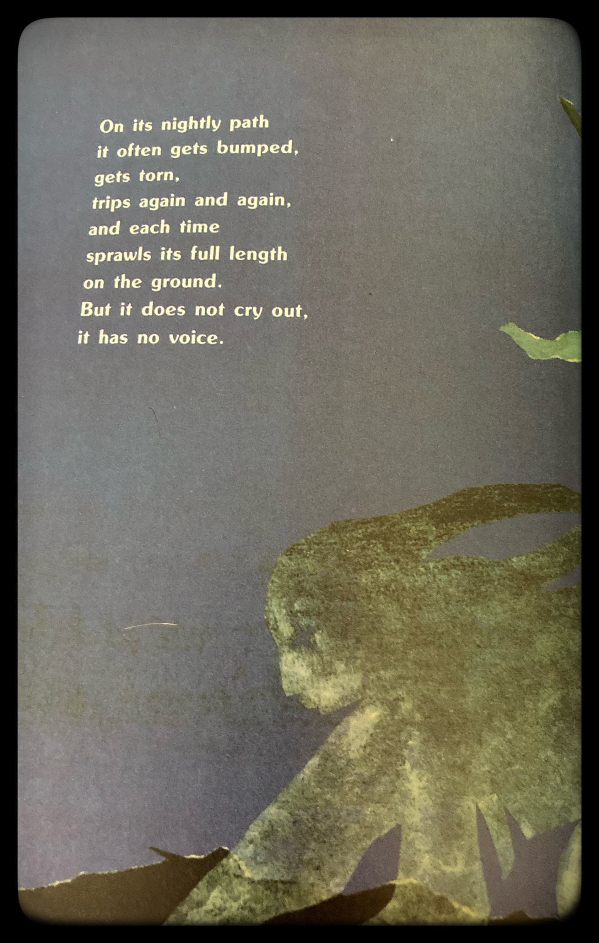 Shadow Translated and Illustrated by Marcia Brown From the French of ...