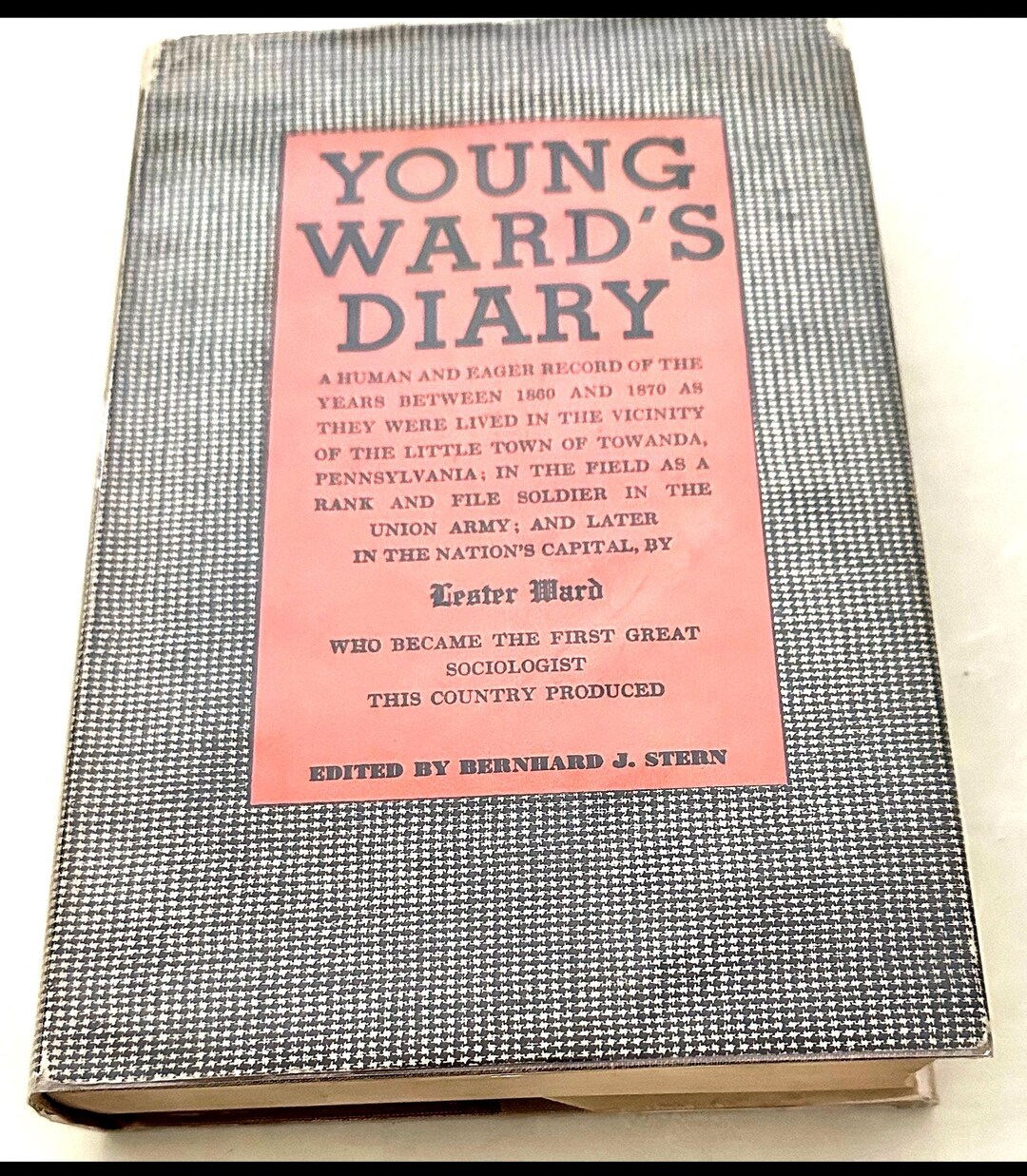 Young Ward’s Diary by Lester Ward - Etsy