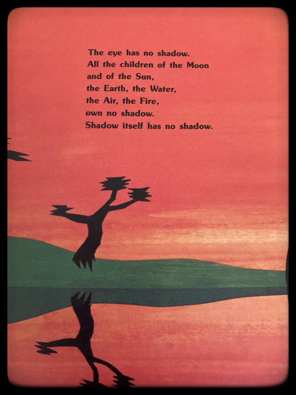 Shadow Translated and Illustrated by Marcia Brown From the French of ...