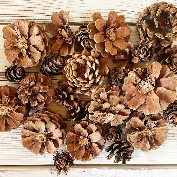 Printable Days on the Mountain Tracker. Hiking Planner. Trip Planner ...