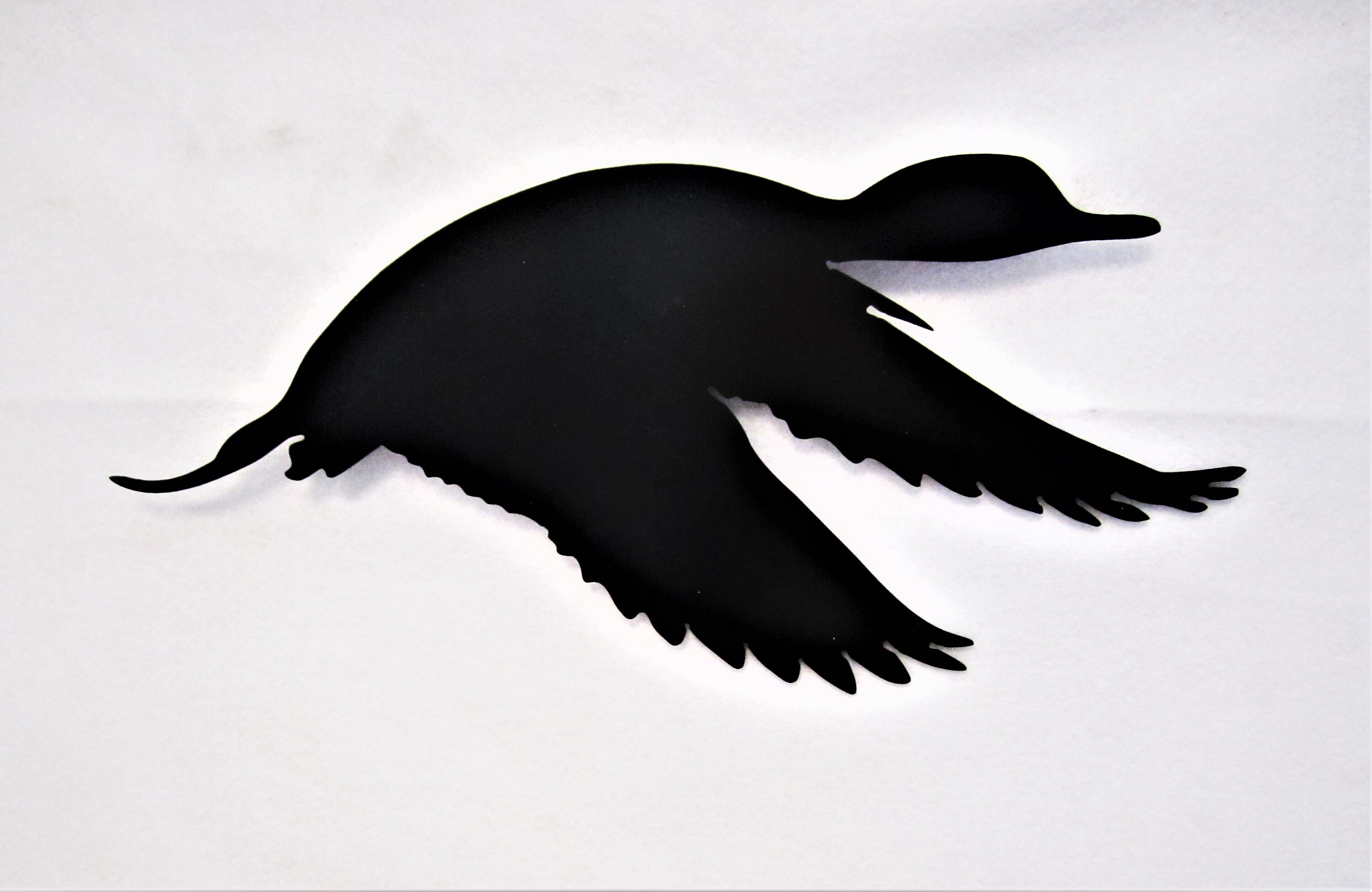 Cupped Duck Silhouette