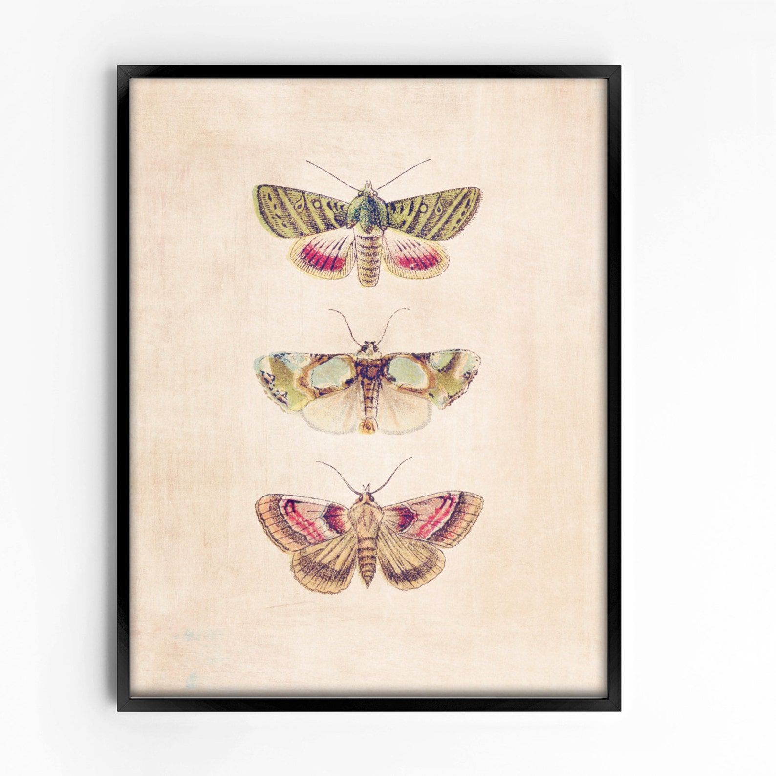 Vintage Wall Art Printable, Art Print, Wall Decor, Home Decor, Nursery ...