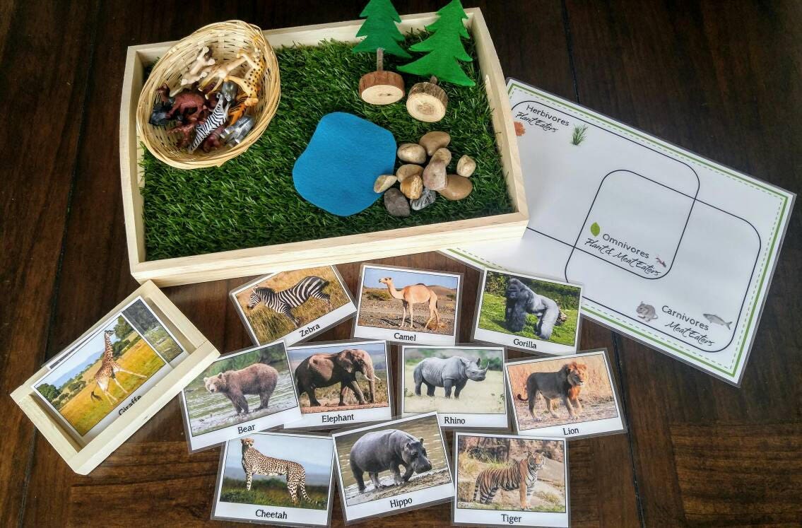 Wild Animal Sensory Activity Set 3 Activities in 1 Fine | Etsy