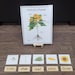 Loose Parts Flower Activity, Parts of a Flower, Fine Motor Skills, Gift ...
