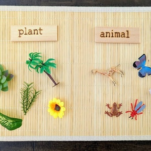 Plant/animal Sorting Set, Montessori Object Classification, Gift for ...