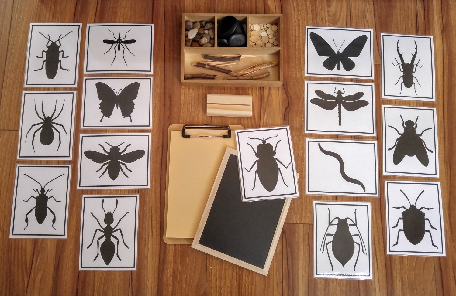 Loose Parts Insect/Bug Exploration Build a Bug Fine Motor | Etsy