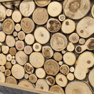 Wood Slice Artwork, Wall Hanging, Natural Wood Art - Etsy