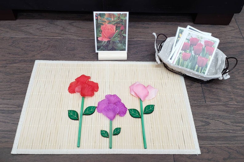 Loose Parts Flower Activity Parts of a Flower Fine Motor | Etsy