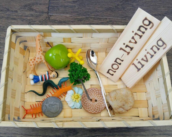 Living/non-living Sorting Set, Montessori Object Classification, Gift ...