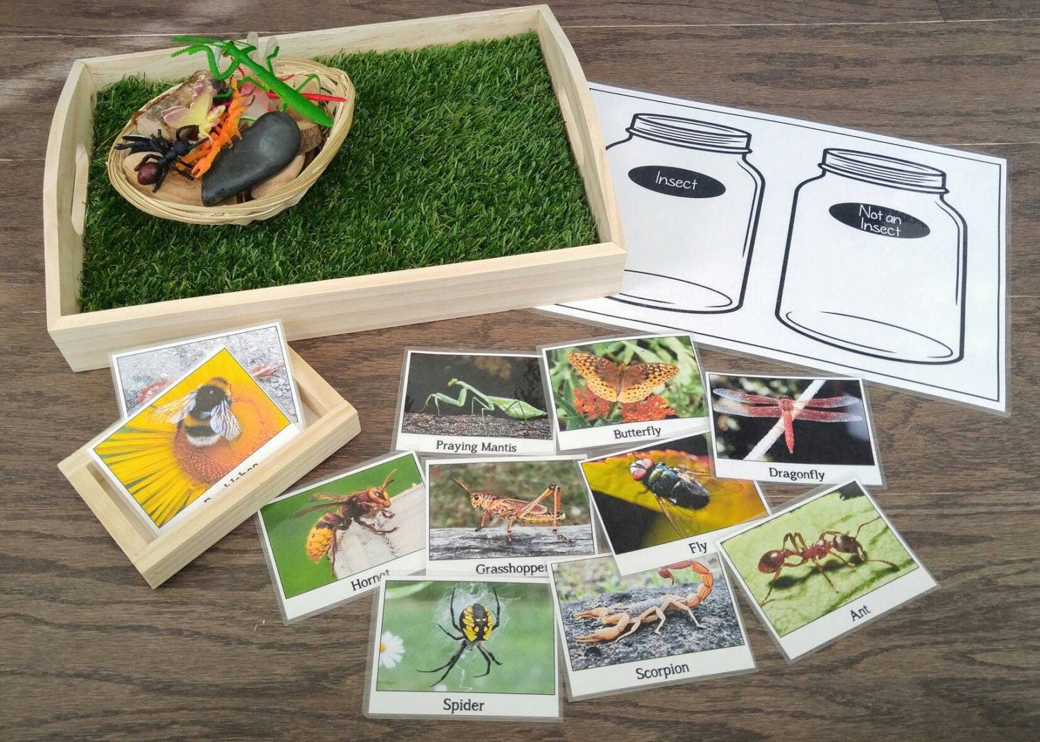 Bug/insect Sensory Activity Kit 3 Activities in 1 Fine Motor - Etsy