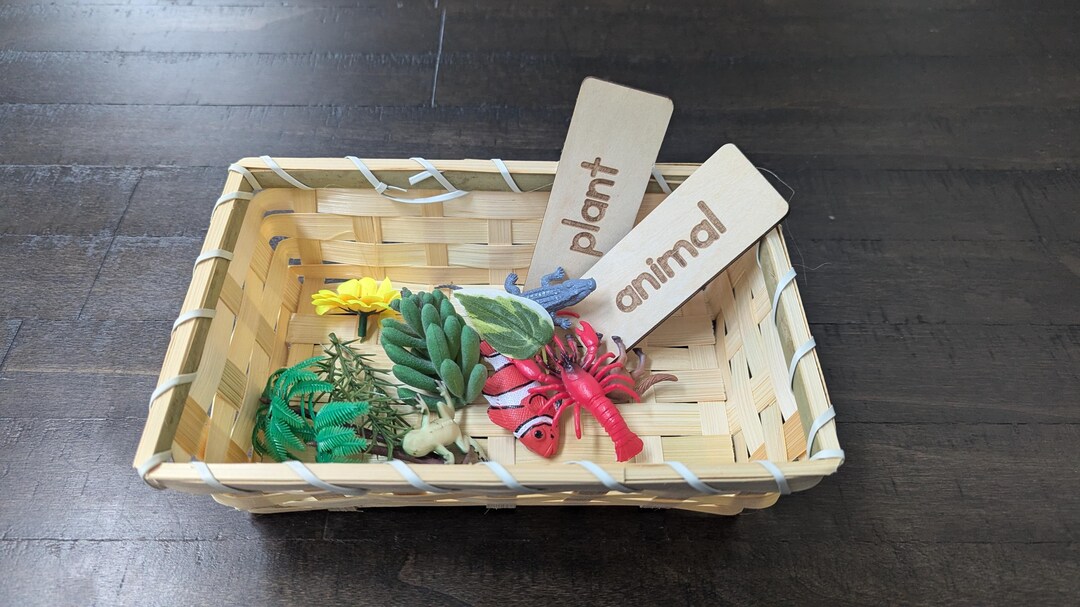 Plant/animal Sorting Set, Montessori Object Classification, Gift for ...