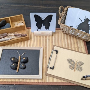 Insect Exploration Activity Set | Nature-inspired STEM Bug Study ...