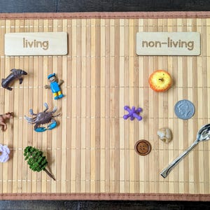 Living/non-living Sorting Set, Montessori Object Classification, Gift ...