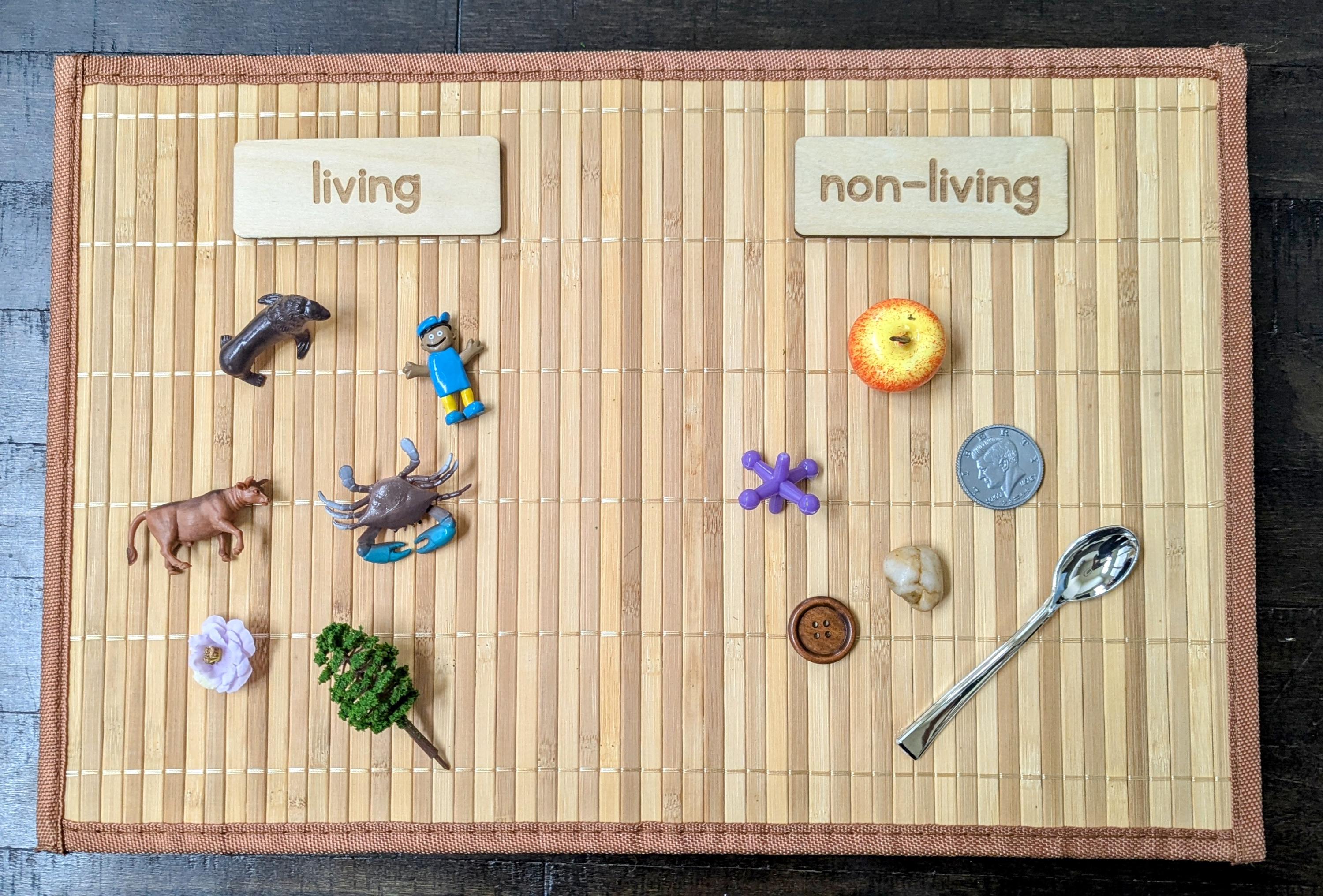 Living/non-living Sorting Set, Montessori Object Classification, Gift ...