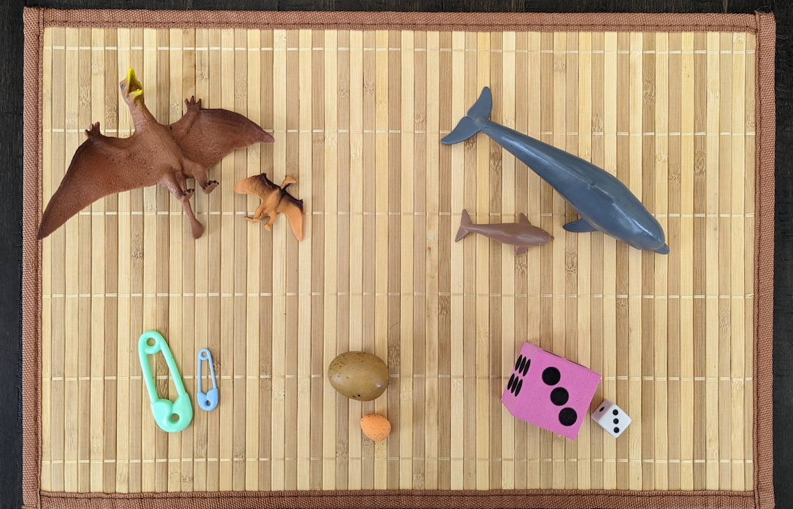 Big/small Sorting Set Montessori Object Classification Gift - Etsy