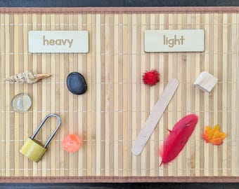 Animal Classification Sorting Set, Montessori Object Classification ...