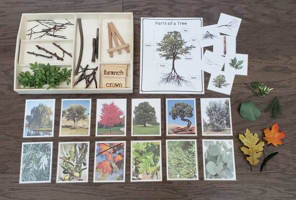 Loose Parts Tree Activity Parts of a Tree Fine Motor Skills - Etsy Canada