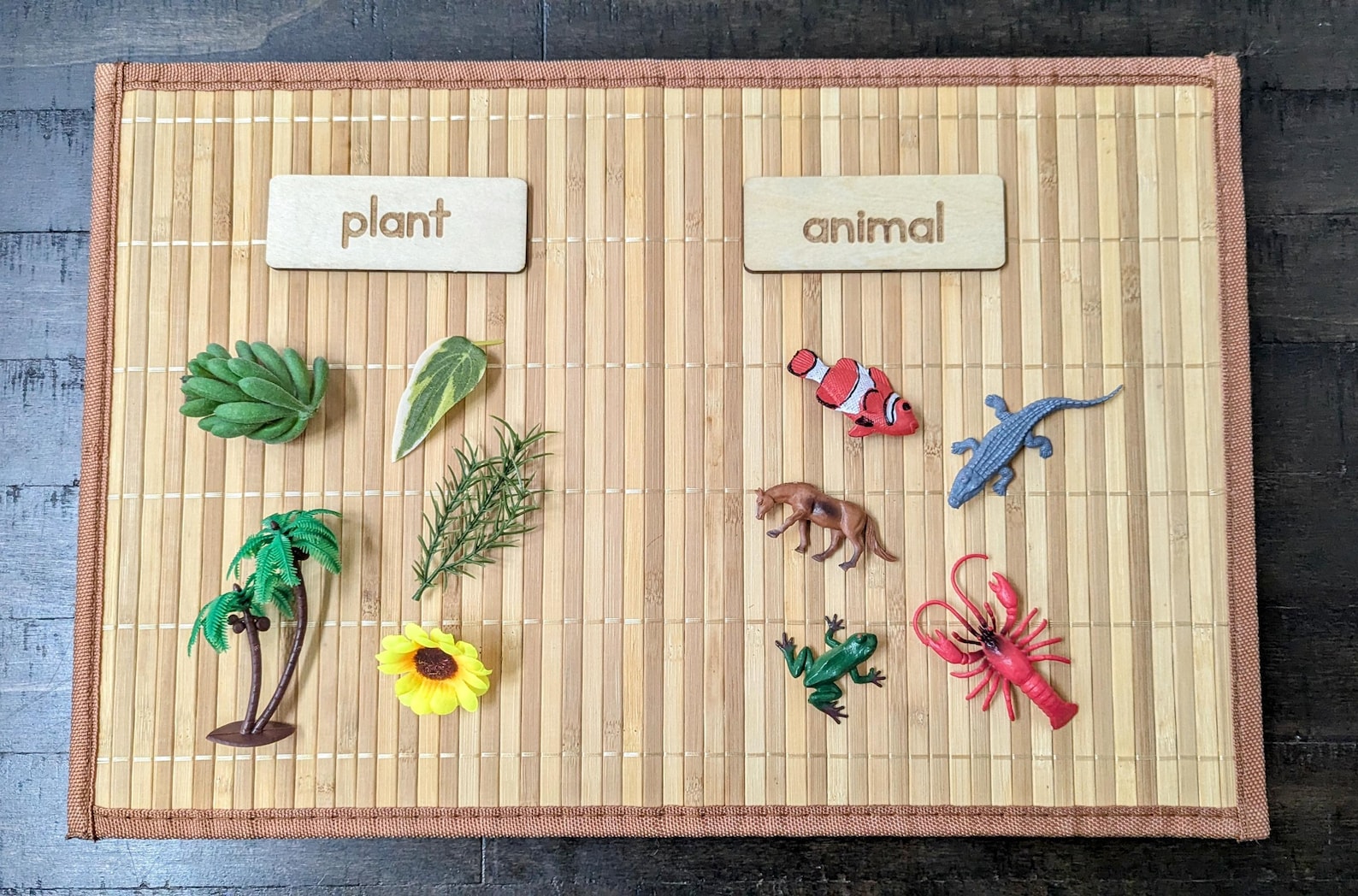 Plant/animal Sorting Set, Montessori Object Classification, Gift for ...