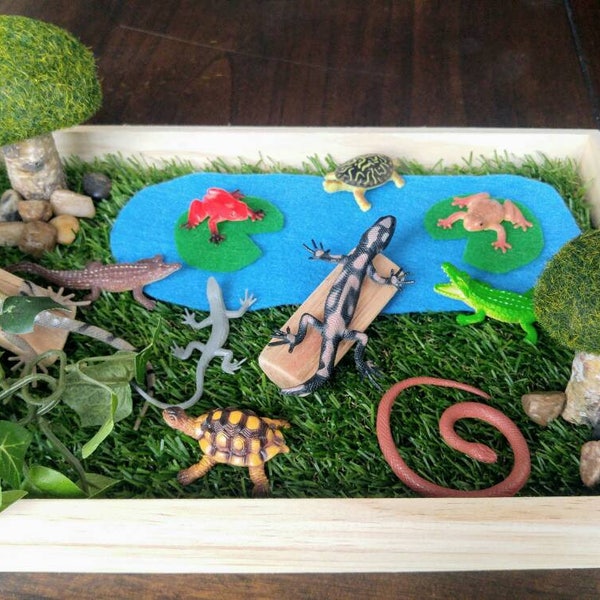 Reggio Emilia - Etsy