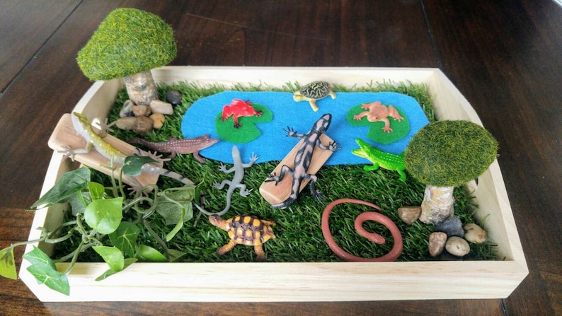 Reptile Amphibian Sensory Bin: Montessori Fine Motor Activity Set ...