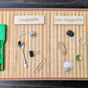Magnetic/non-magnetic Sorting Set, Montessori Object Classification ...