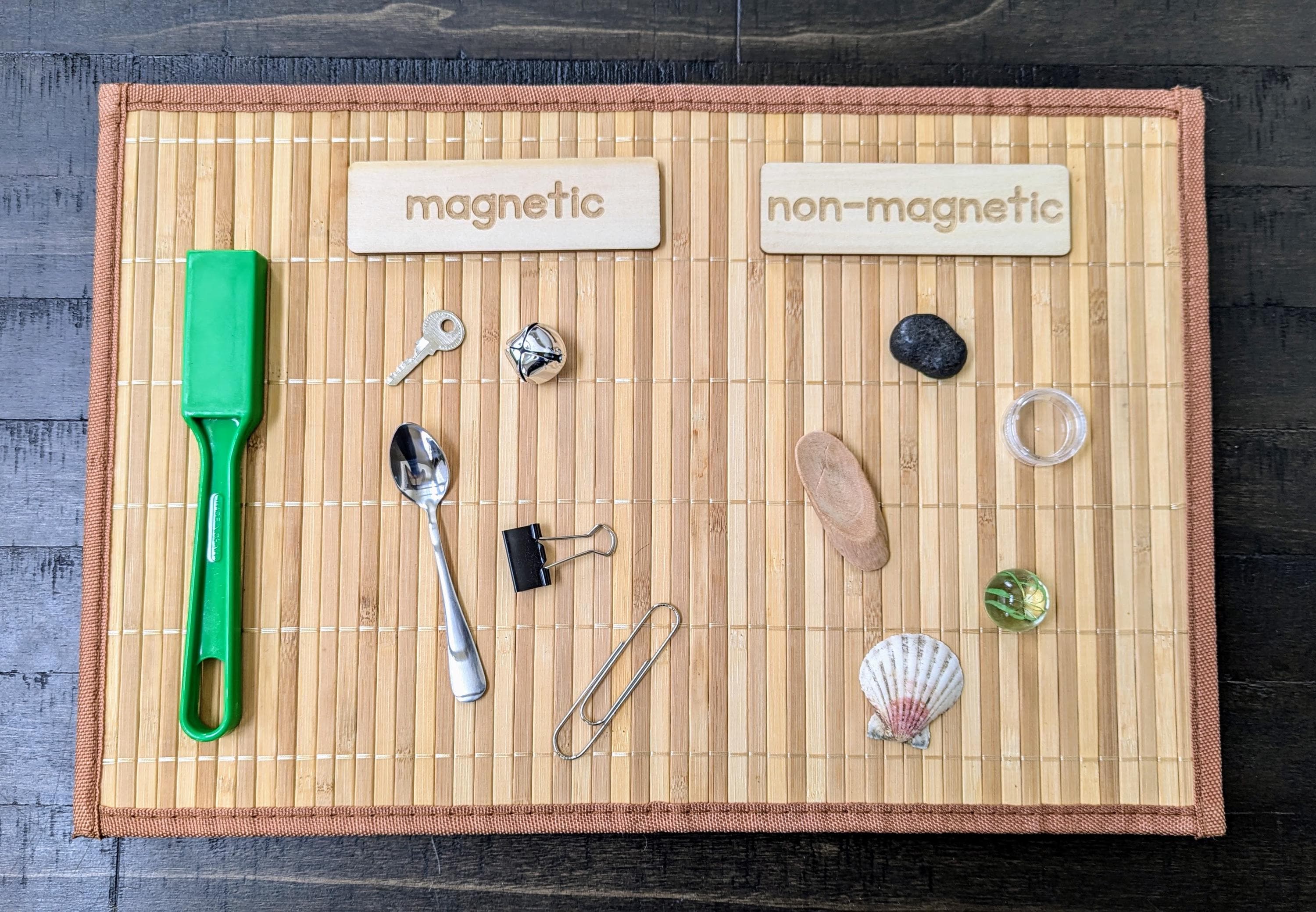 Magnetic/non-magnetic Sorting Set, Montessori Object Classification ...