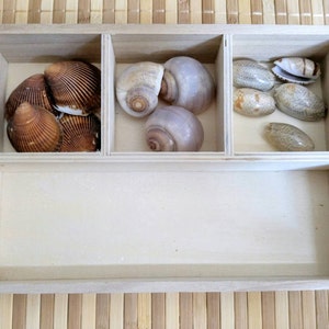 Montessori Shell Sorting Work, Fine Motor Skills, Montessori Work for ...