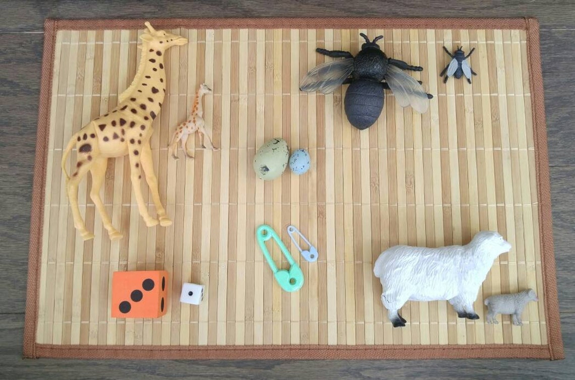 Big/Small Sorting Set Montessori Object Classification Gift | Etsy