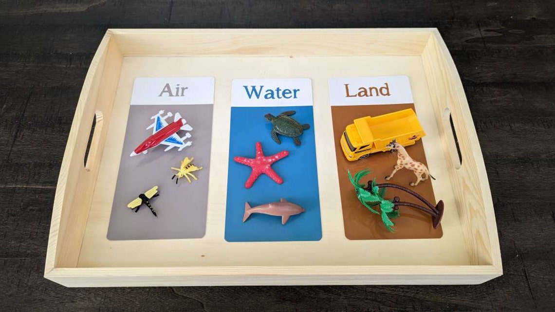 Land/air/water Activity Kit Object Matching Gift for Kids - Etsy