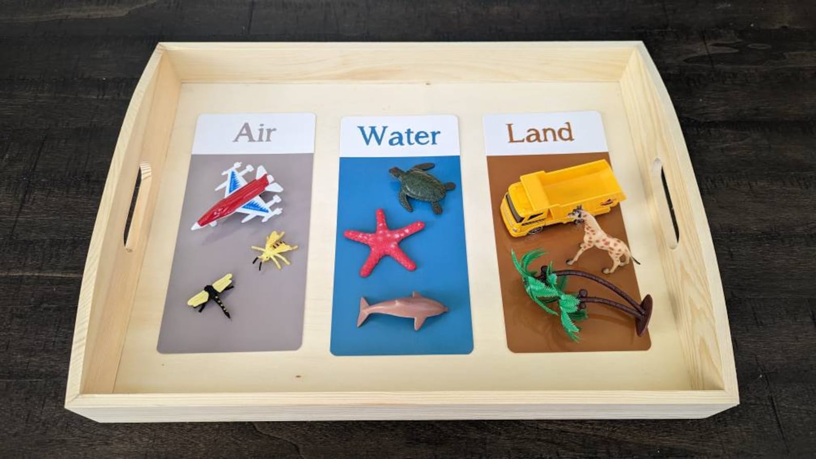 Land/air/water Activity Kit, Object Matching, Gift for Kids, Cultural ...