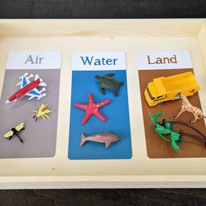 Land/air/water Activity Kit, Object Matching, Gift for Kids, Cultural ...