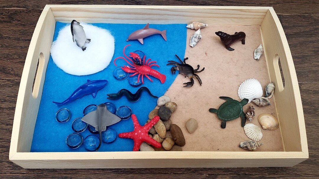 Ocean Animal Sensory Bin: Montessori Fine Motor Activity Set - Etsy