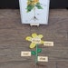 Loose Parts Flower Activity, Parts of a Flower, Fine Motor Skills, Gift ...