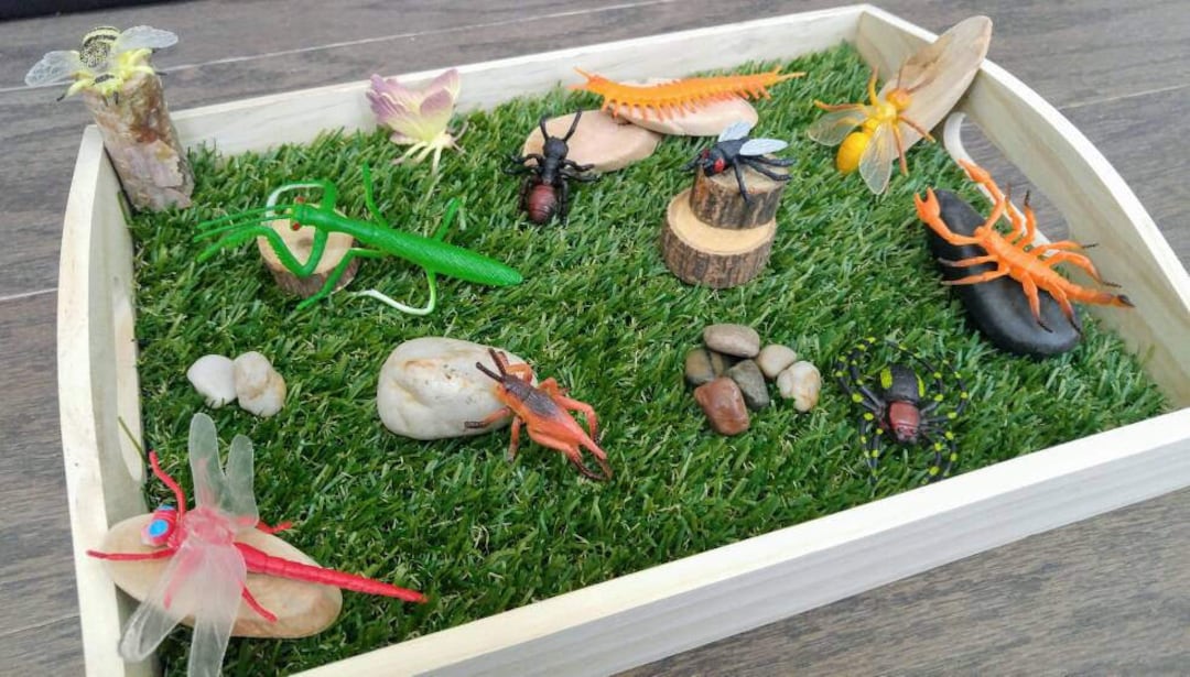 Bug/insect Sensory Activity Kit, 3 Activities in 1, Fine Motor Skills ...