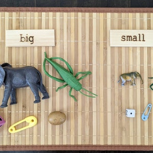 Big/small Sorting Set, Montessori Object Classification, Gift for Kids ...