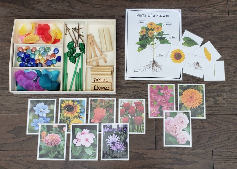Flower Activity Set: Montessori Fine Motor Skills, Teacher Resources - Etsy