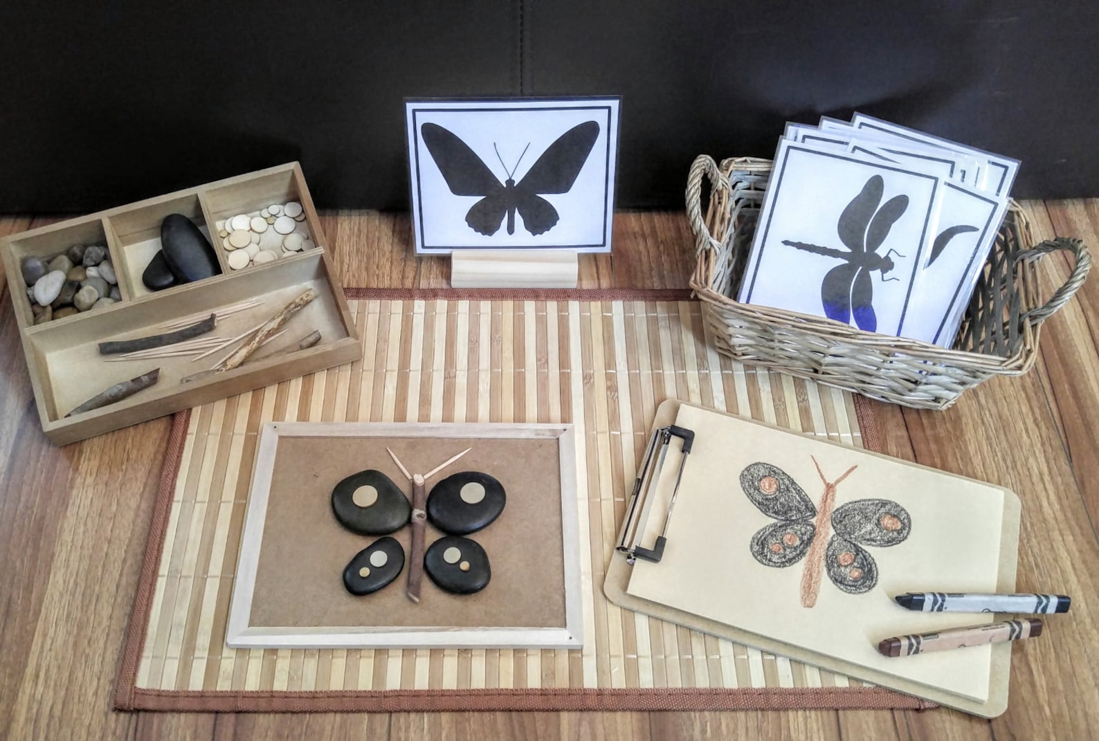 Loose Parts Insect/Bug Exploration Build a Bug Fine Motor | Etsy