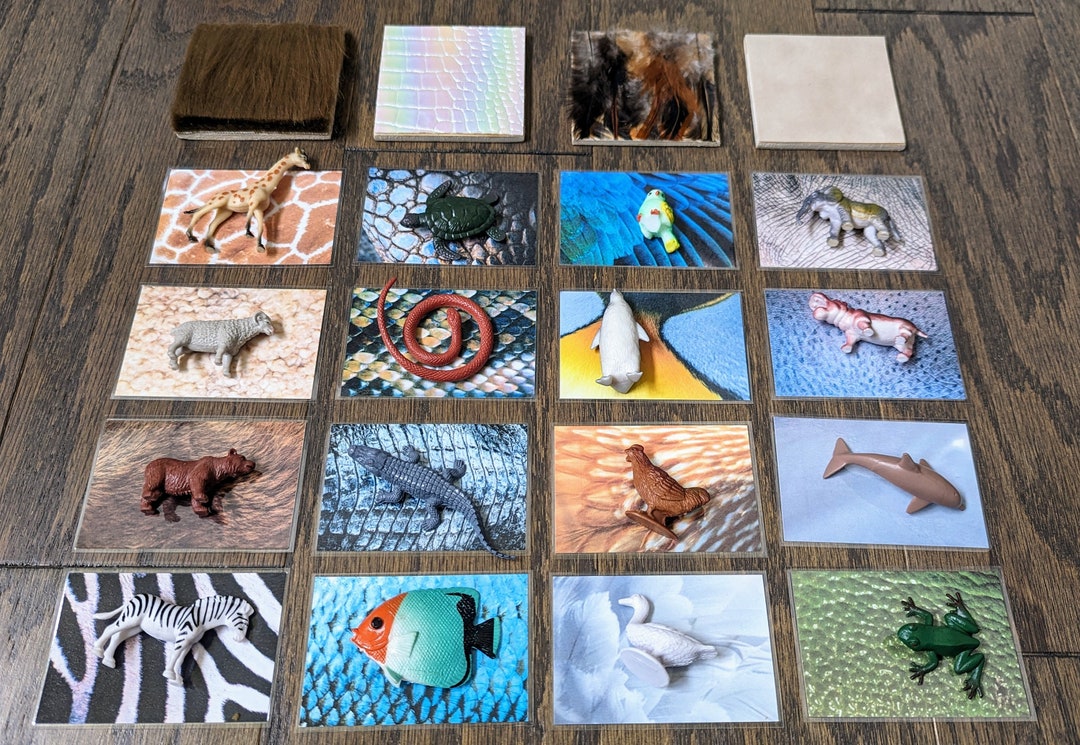 Animal Fur, Feathers, Scales Sensory Sorting Set: Montessori Learning ...