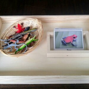 Reptile Amphibian Sensory Bin: Montessori Fine Motor Activity Set - Etsy