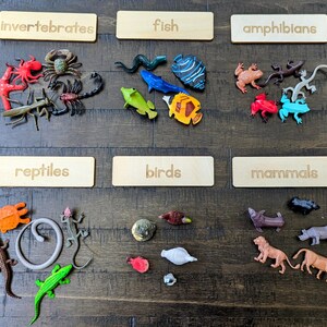 Animal Classification Sorting Set, Montessori Object Classification ...