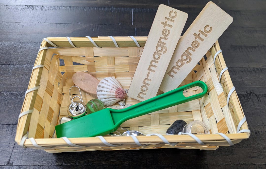 Magnetic/non-magnetic Sorting Set, Montessori Object Classification ...