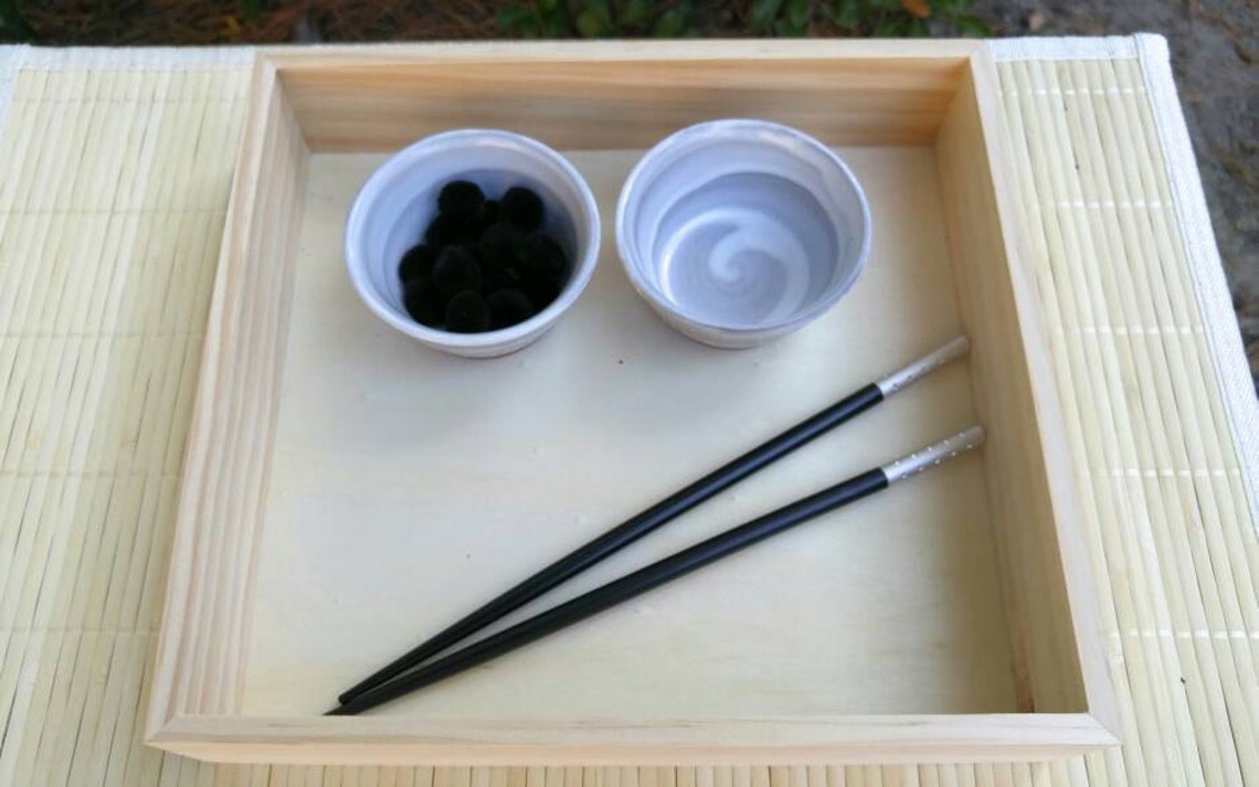 Tonging Activity Fine Motor Skills Montessori Work for Kids - Etsy